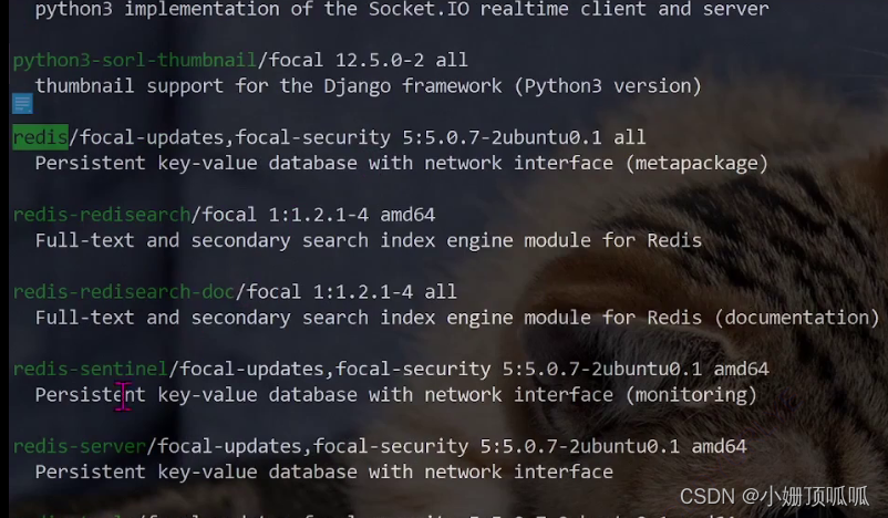 初识Redis，Redis常见命令_redis mget-CSDN博客