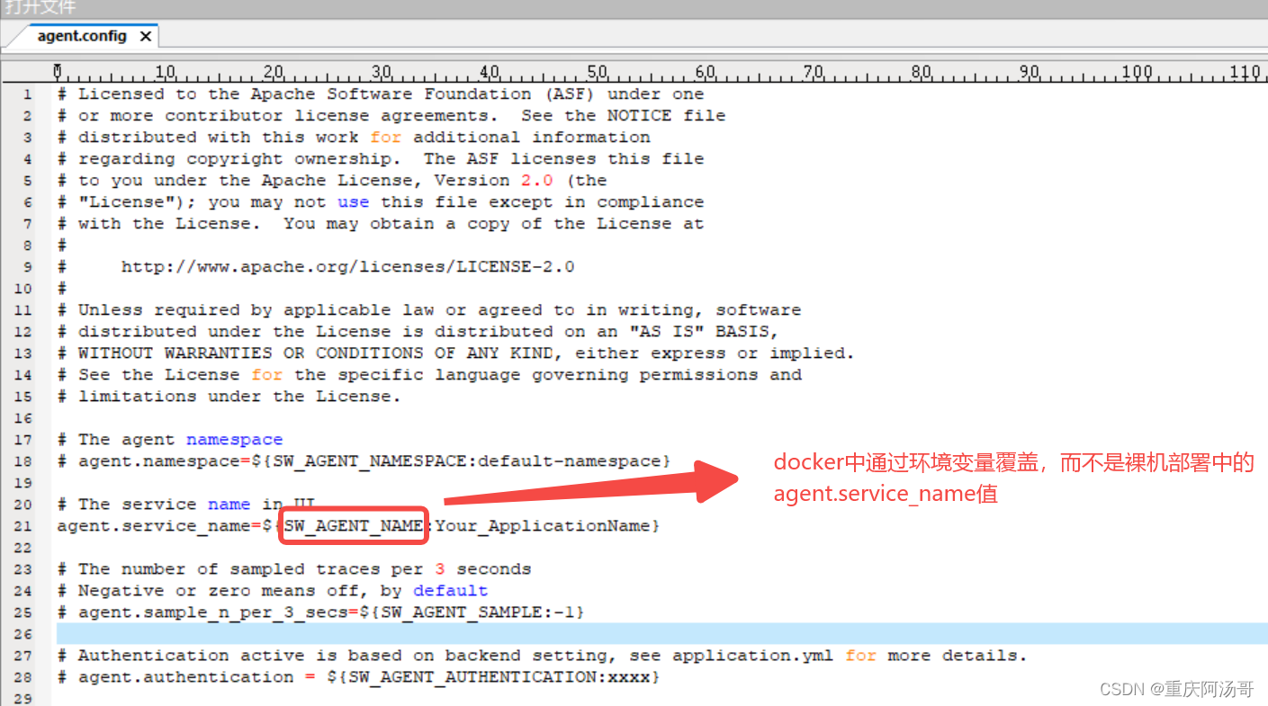 skywalking java agent集成-CSDN博客