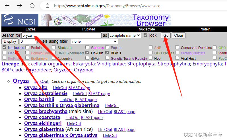 使用efetch从NCBI批量下载数据-CSDN博客