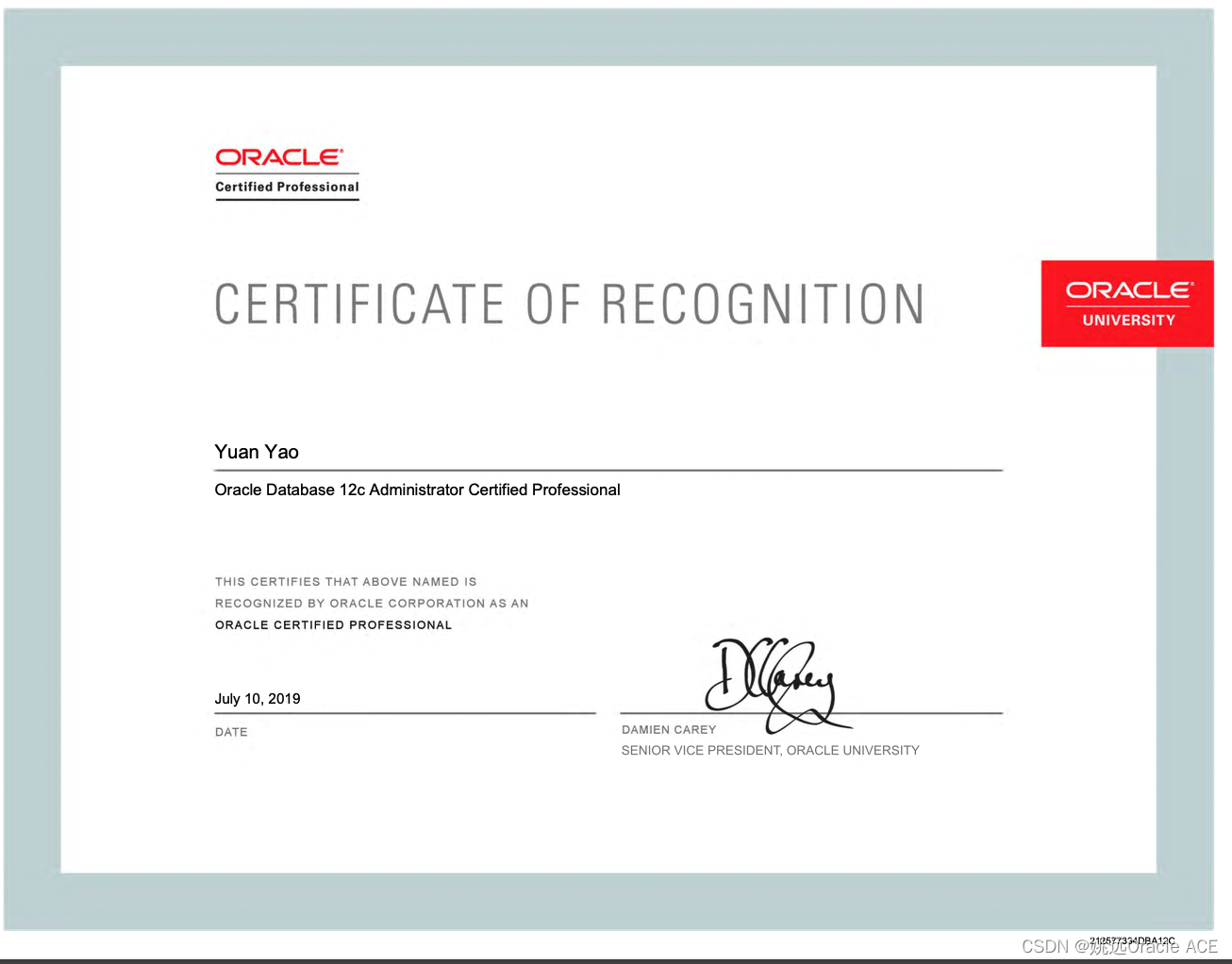 Oracle的最高认证并不是Oracle OCP或者OCM，而是......_oracle ace-CSDN博客