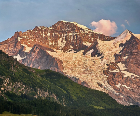 王淼啸：PNAS被拒稿后成功申诉经验分享-CSDN博客