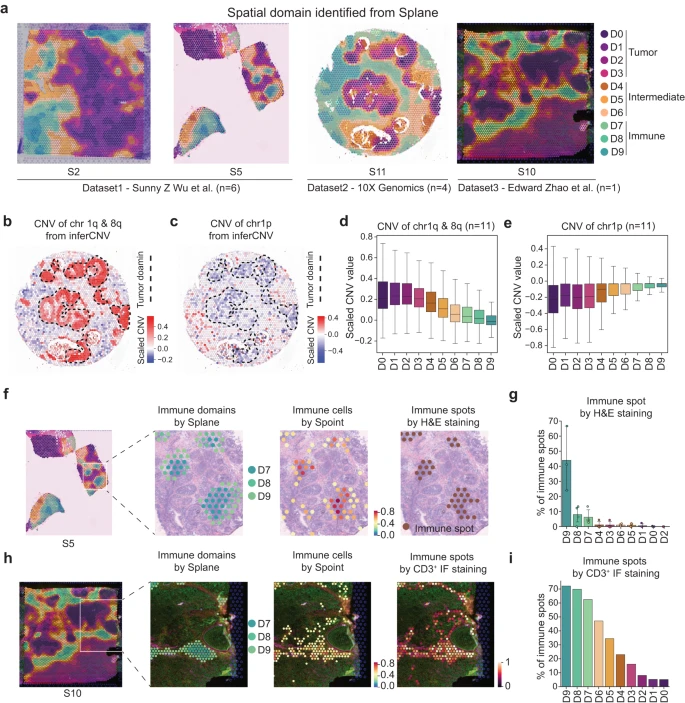 文献阅读：SPACEL：基于深度学习的空间转录组结构表征_深度学习和空间转录组-CSDN博客