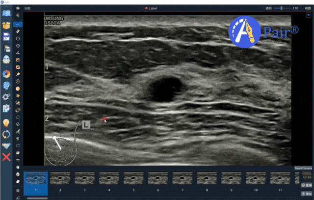 标注神器！Pair软件推出动态目标分割标注智能功能iMOS-CSDN博客