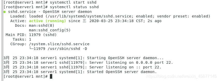 Linux基础 服务管理 systemctl命令 网络管理（虚拟机可以上网了）_systemctl reboot-CSDN博客