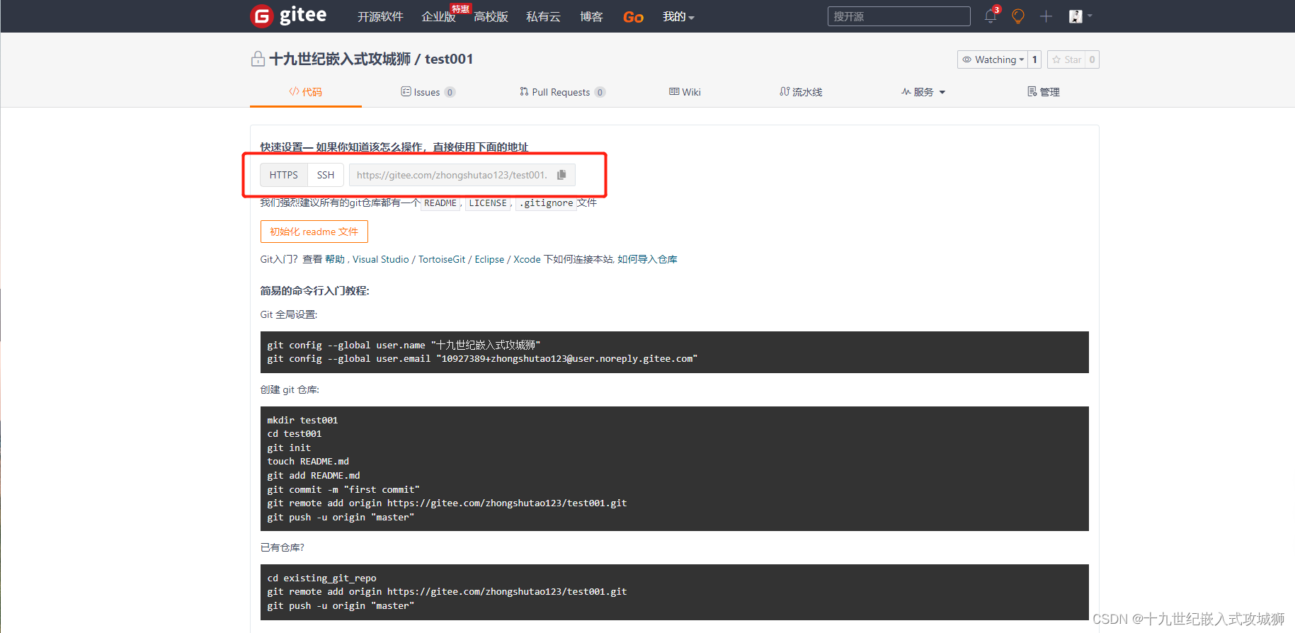 Git和gitee的使用（手把手带你学：入门篇gitee 和git使用 Csdn博客