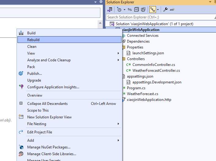 .net8系列-03图文并茂手把手教你配置Swagger以及实现接口版本控制_netcore mvc swagger-CSDN博客