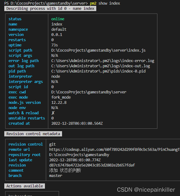 nodejs pm2 姿势启动_mp2 node-CSDN博客