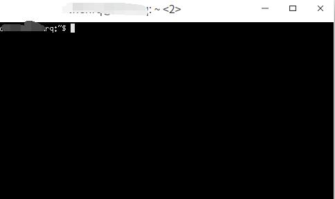 linux 安装 xterm,Xmanager使用教程：如何在Linux系统上安装Xterm应用-CSDN博客
