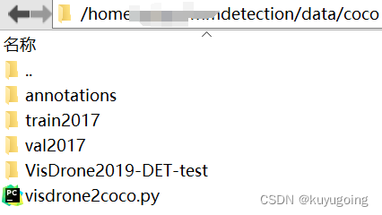 保姆级：使用MMDetection训练YOLOX——VisDrone2019数据集coco格式_visdrone数据集-CSDN博客