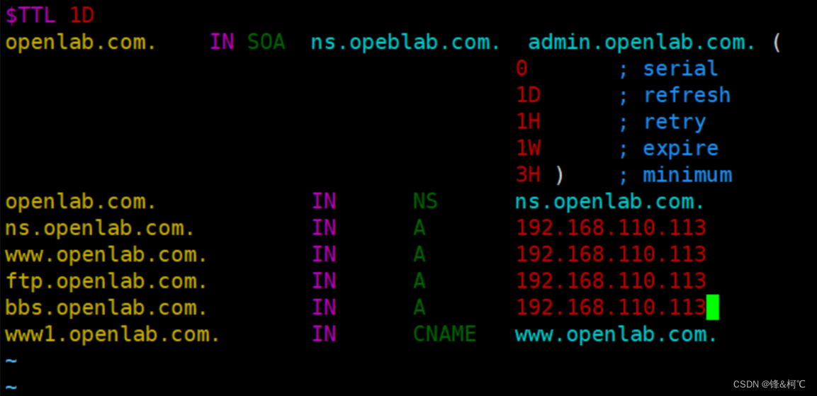 RHCE：配置DNS服务的正反向解析-CSDN博客