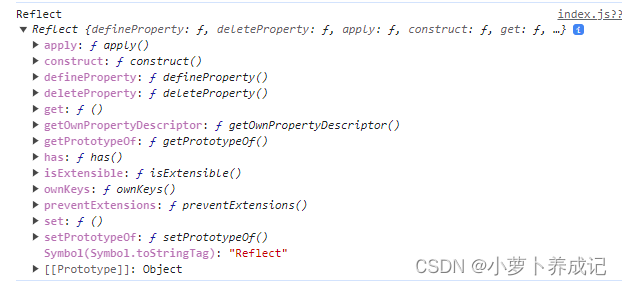 Reflect 对象（JavaScript 反射 ）相关API解读_reflect.get-CSDN博客