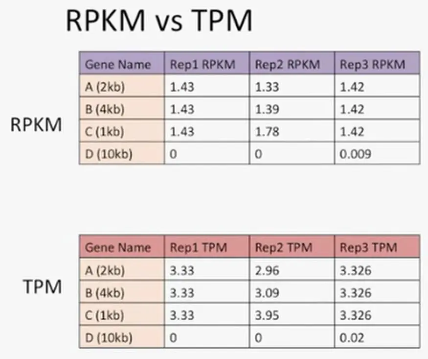 RPKM、FPKM 和 TPM cpm-CSDN博客