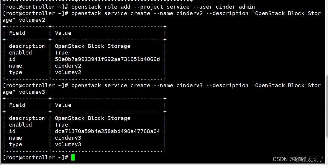 【Openstack Train安装】十二、Cinder安装-CSDN博客