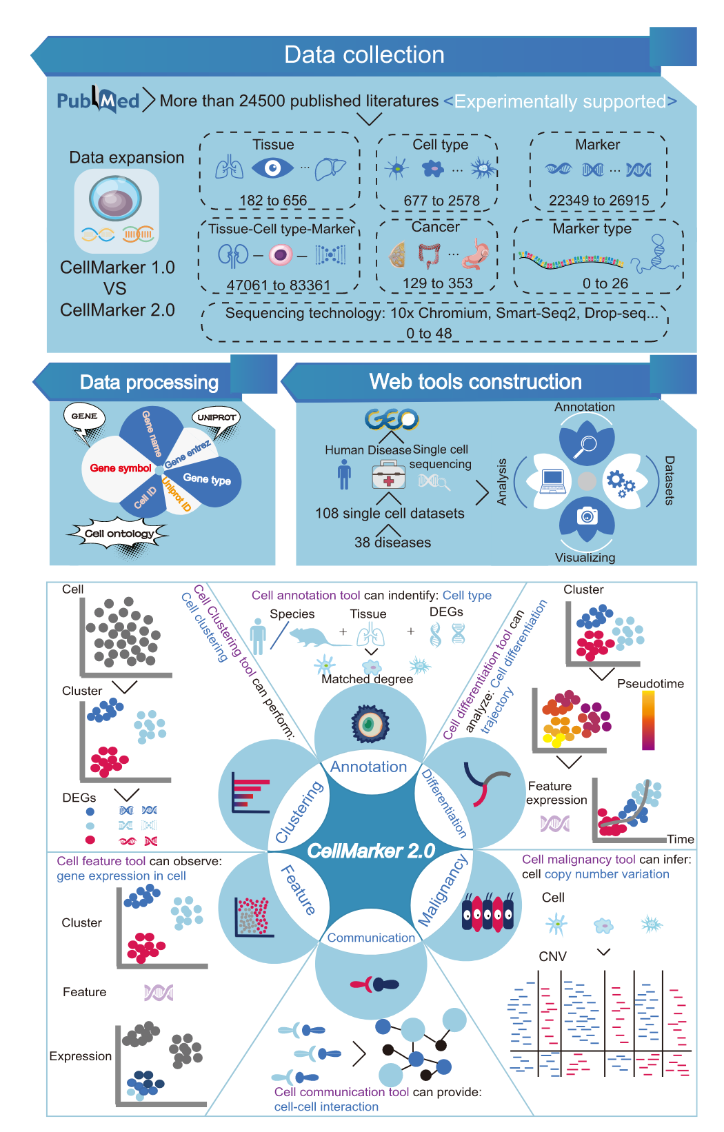 Cellmarker 2 0 细胞标志物数据库更新啦！~（附使用指南） Csdn博客