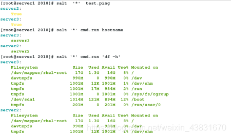 Saltstack自动化部署keepalived_windows上 keepalive+ 自动化部署-CSDN博客