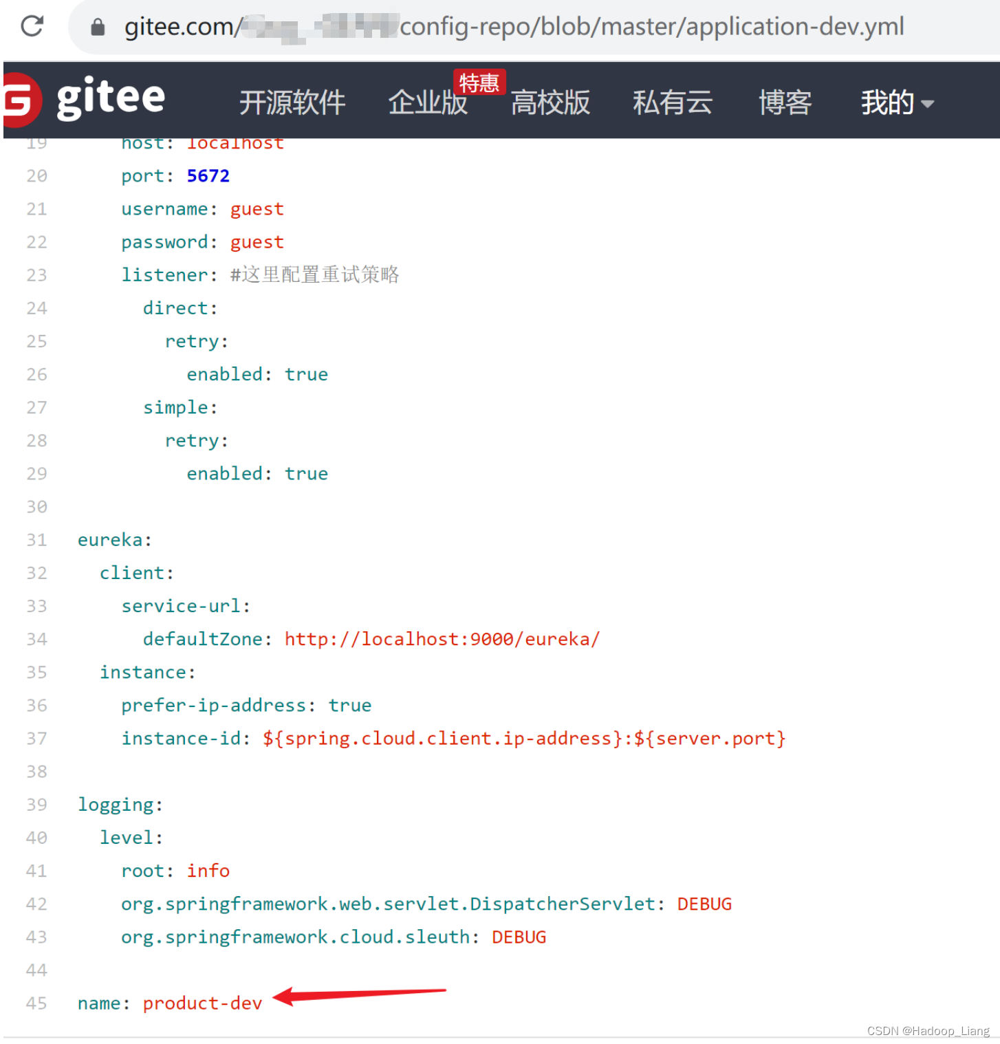 配置中心--Spring Cloud Config_spring cloud config配置中心-CSDN博客