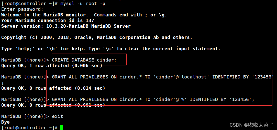 【Openstack Train安装】十二、Cinder安装-CSDN博客