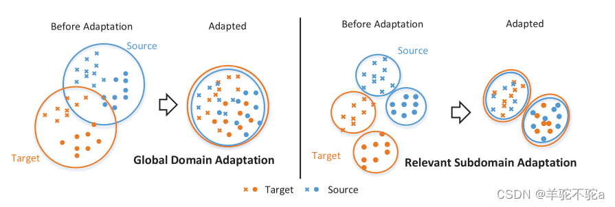 【域适应十一】Deep Subdomain Adaptation Network for Image Classification(DSAN)（2021 IEEE Trans）-CSDN博客