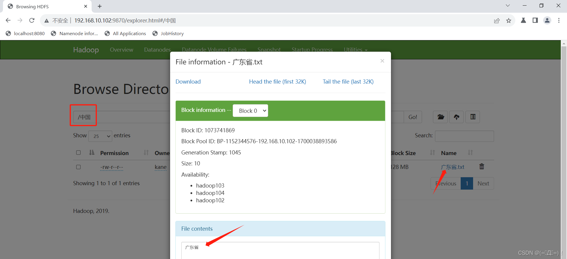Hadoop 之 HDFS 的Shell操作（开发重点）06_–ls: unknown command usage: hadoop fs ...