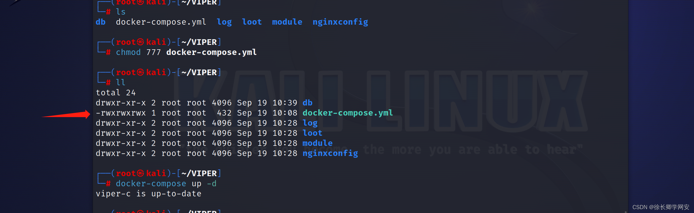 Viper炫彩蛇的下载与安装(MSF图形化界面)_简易极速安装版-CSDN博客