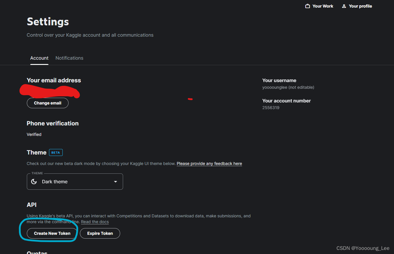 Google colab中如何从kaggle中接入数据？_user在colab中调用kaggle中的数据集-CSDN博客