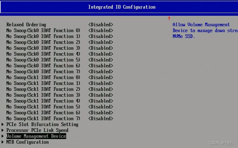 Intel BIOS 组raid 打开VMD_intel vmd-CSDN博客