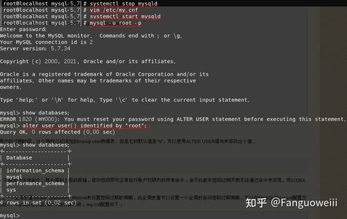 centos7安装mysql(centos7安装教程详解)-CSDN博客