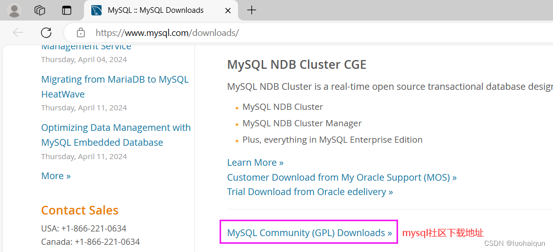 Mysql8最新下载与安装教程：从官网下载到环境配置详解,-CSDN博客