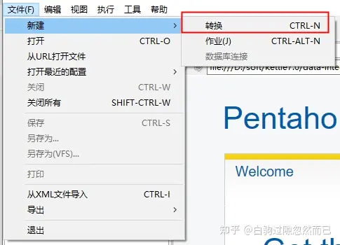 kettle 采集API接口数据，入湖（入库），部署Windows同步任务_kettle api-CSDN博客