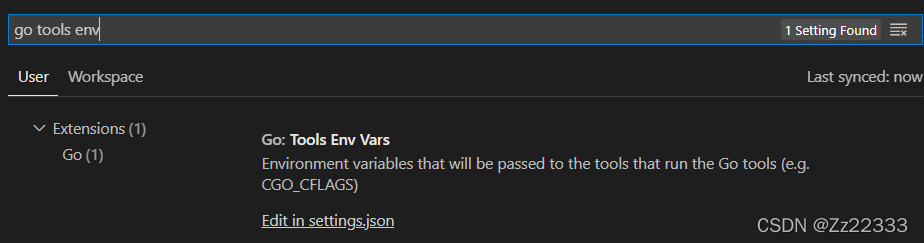 VScode报错build constraints exclude all Go files in syscall\js-CSDN博客
