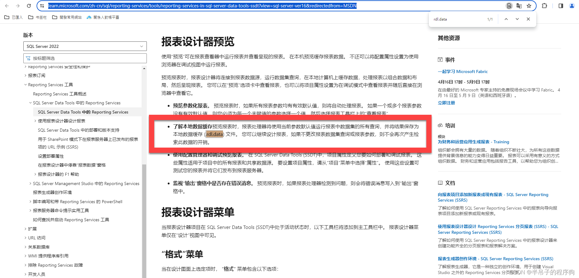 .rdl.data是什麼文件_后缀为rdl是什么模板,如何打开-CSDN博客