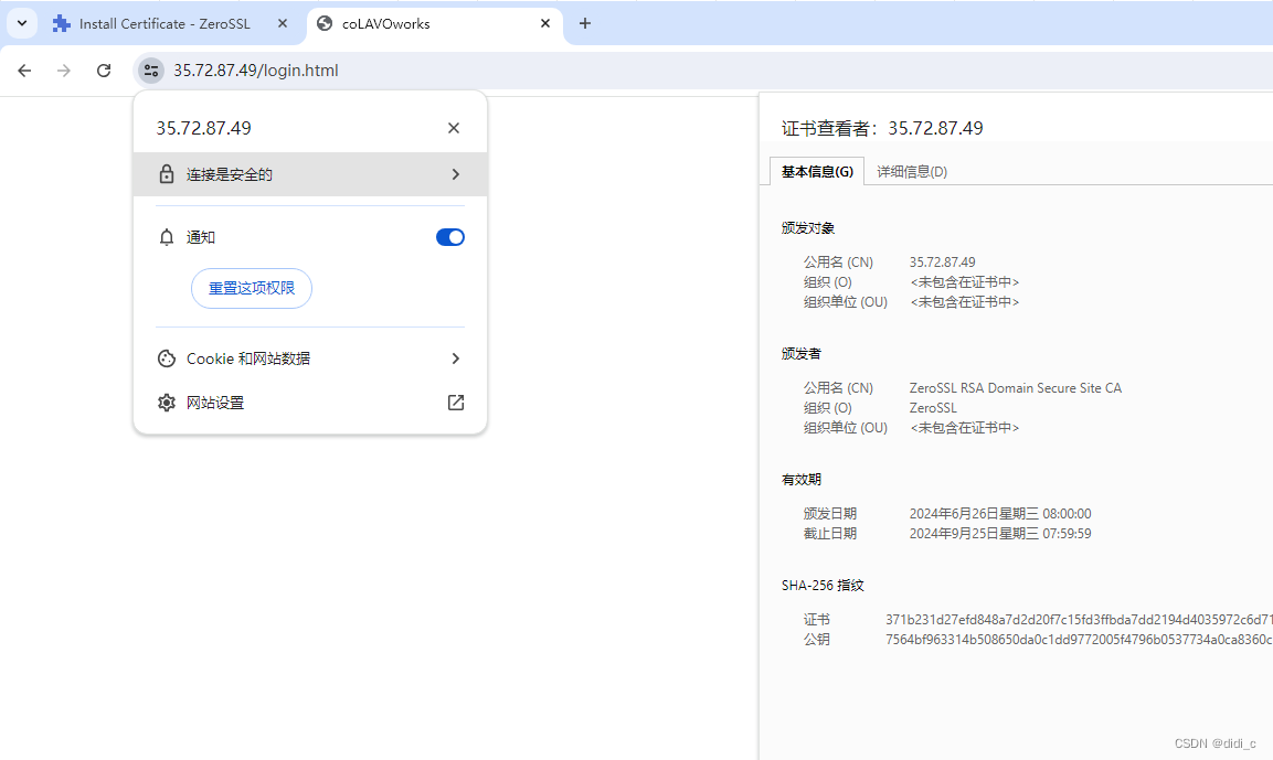 使用ZeroSSL免费SSL给IIS配置Https证书-CSDN博客