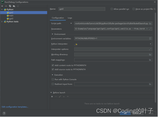 ColossalAI GPT2分布式训练调试配置—GPT系列训练与部署_csdngpt部署在服务器-CSDN博客