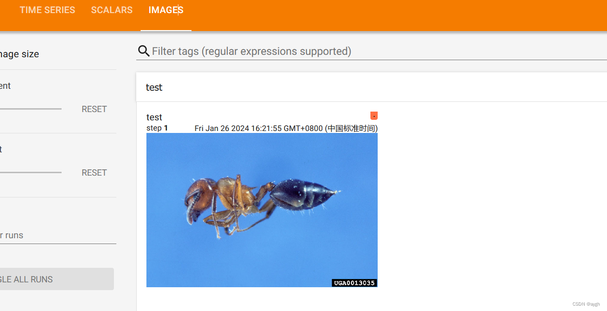 深度学习入门（小土堆pytorch视频笔记）：复盘自用_transforms.resize用什么插值方法-CSDN博客