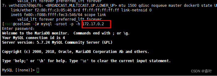 Docker 安装Mysql 如何使用，遇到navicat连不上以及Access denied for user ‘root‘@‘localhost‘ (using password: YES ...