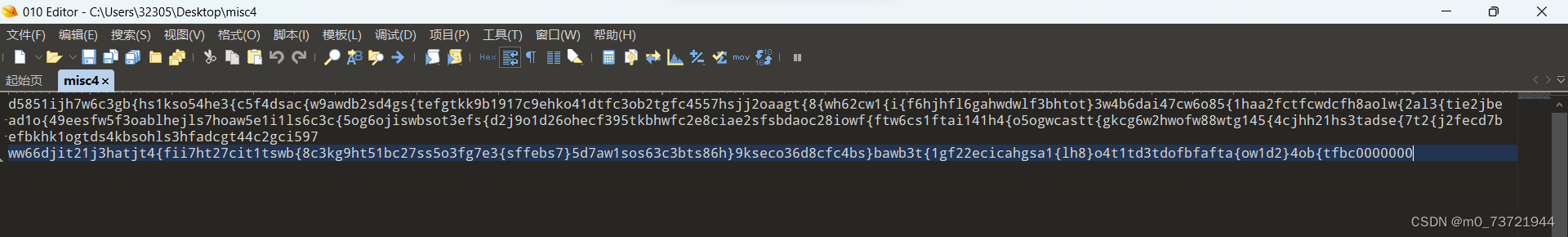 CTF挑战：使用010Editor解码技巧,-CSDN博客