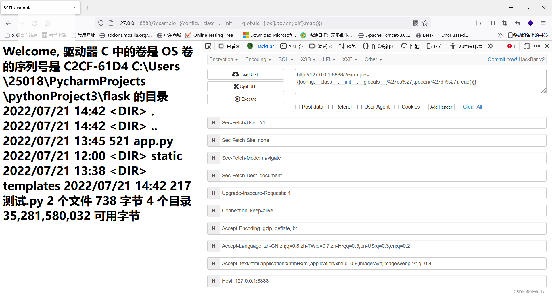 Python SSTI漏洞详解与CTF实战-CSDN博客