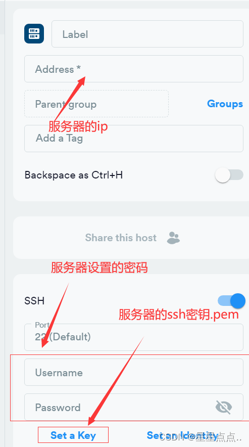 Termius-链接服务器_termius怎么连接服务器-CSDN博客