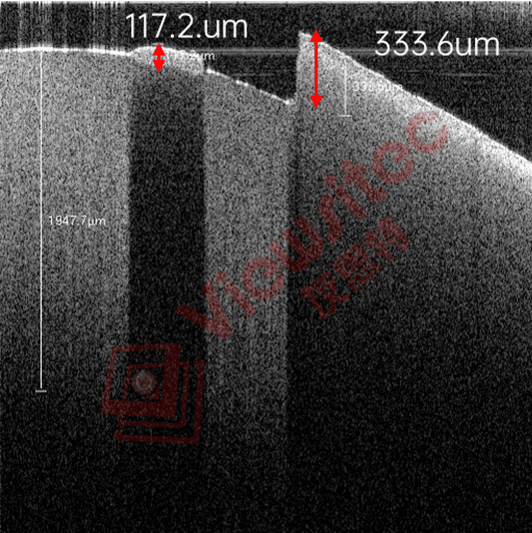 “未来视界”趣味实验室 | 鸡蛋的OCT无损检测与成像_鸡蛋视觉检测-CSDN博客