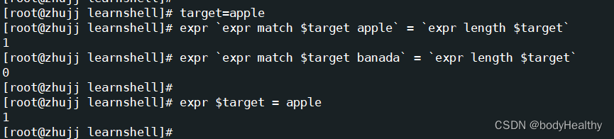 Linux 学习笔记（3） —— Shell 批处理脚本以及字符串的处理_linux 批处理-CSDN博客