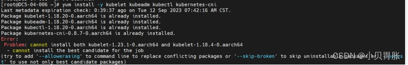 k8s集群搭建超详细步骤（全）-CSDN博客