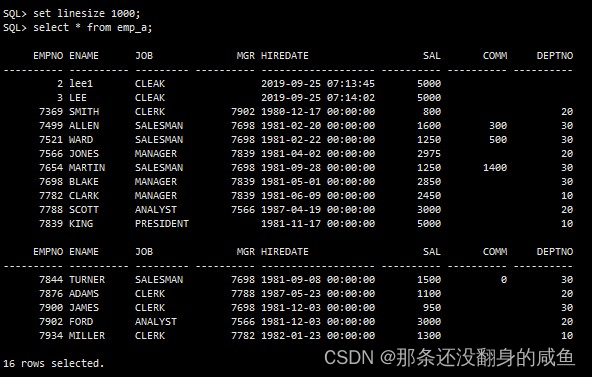 【sqlplus】输出格式美化美观_sqlplus 美化-CSDN博客