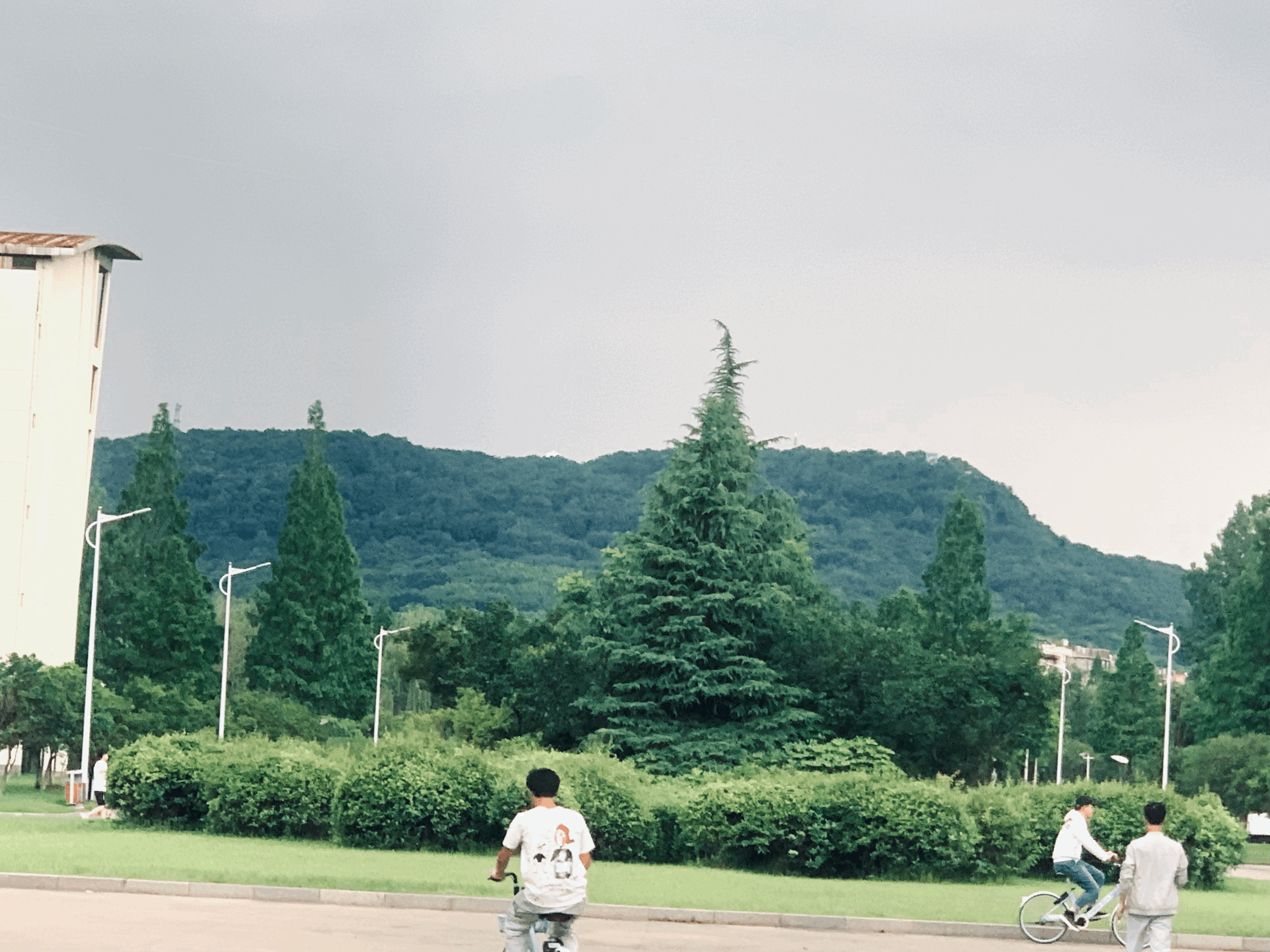 JAVA PAT 1008 数组元素循环右移问题_java1008 数组元素循环右移问题-CSDN博客