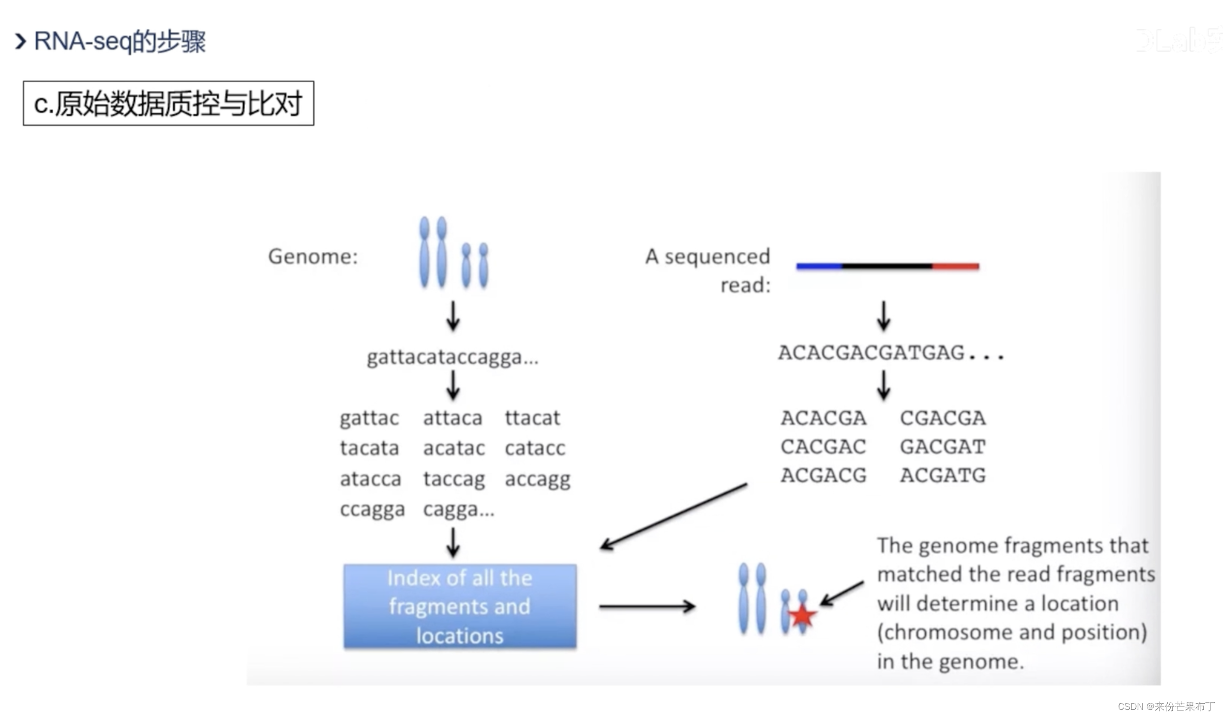RNA-seq分析流程：从质控到差异表达,-CSDN博客