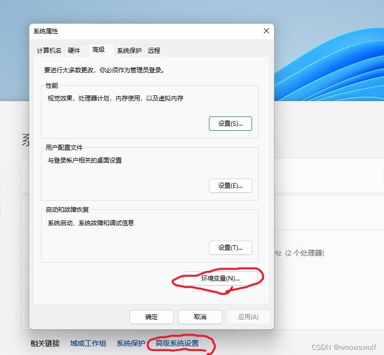 Windows11下yolov5环境配置系列教程（基础部分）_anaconda3环境 yolov5 win11-CSDN博客
