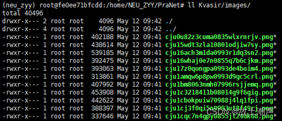 基于MindStudio对PraNet模型推理全流程_模型推理 每次开启关闭环境-CSDN博客