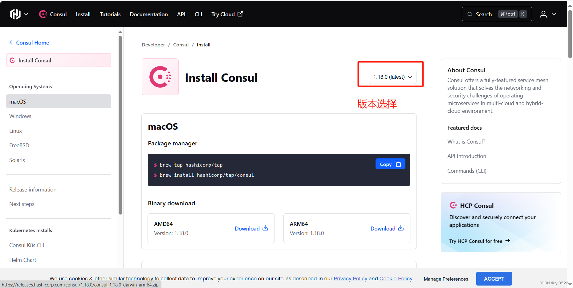 consul的安装与运行_consul运行-CSDN博客
