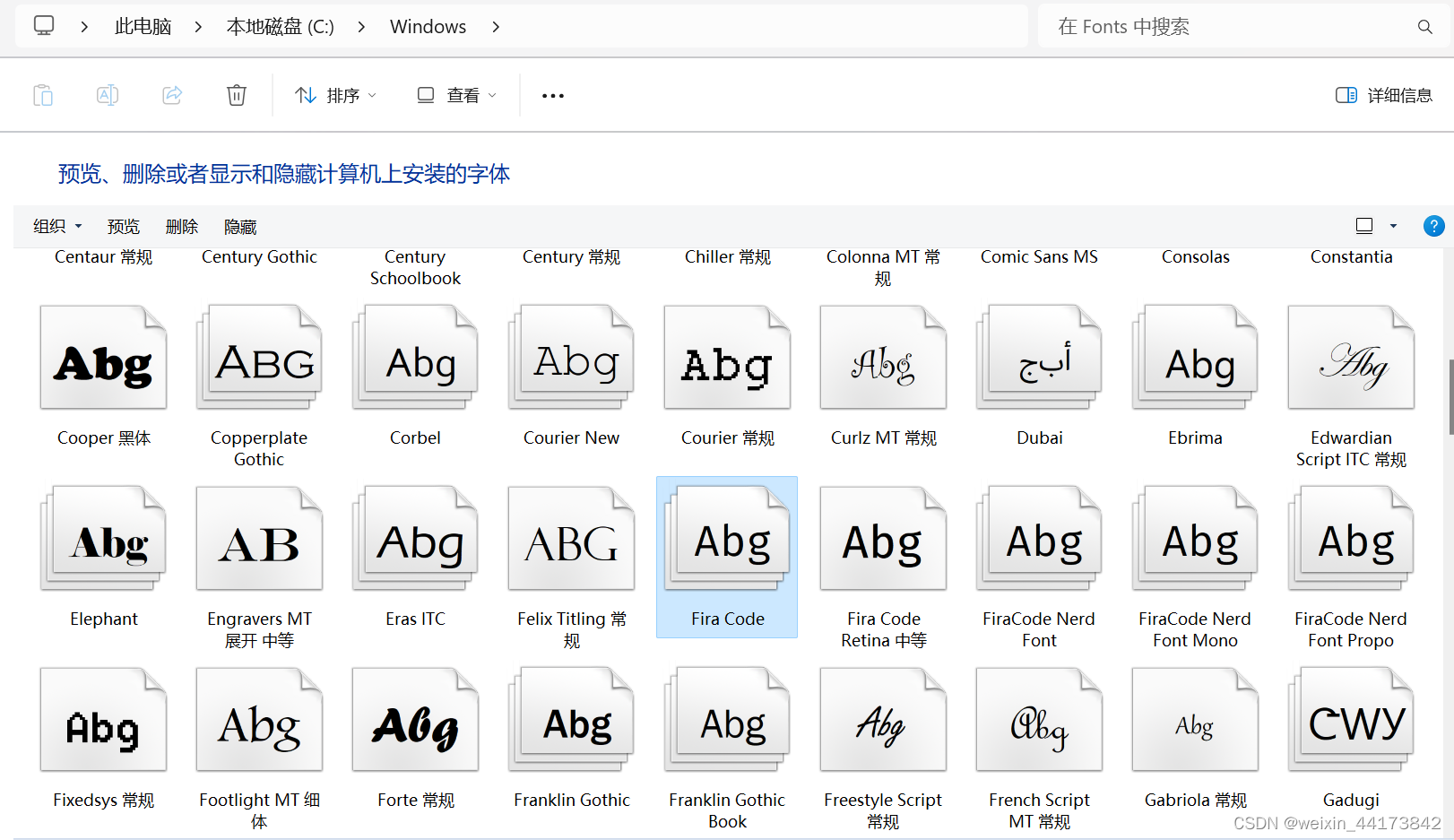 VSCode个性化字体设置：下载、安装与配置-CSDN博客